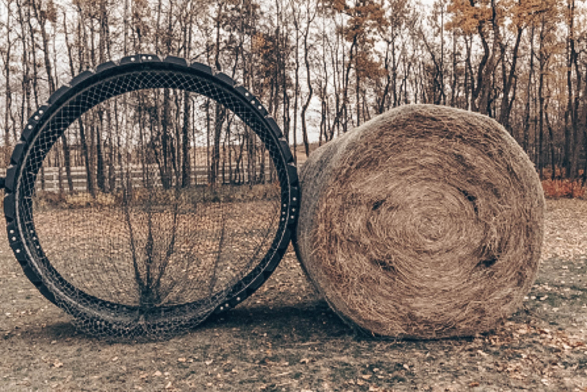 Feeding Your Horse - Poly Hay Ring VS Free Choice – Farm and Barn Supply