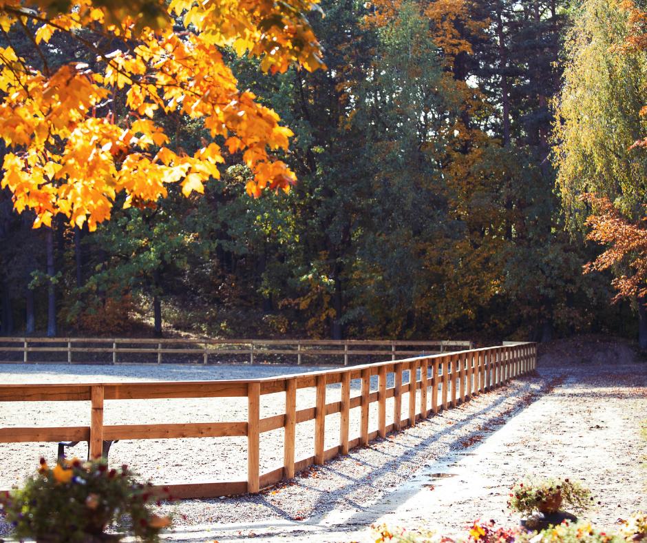 in-the-yard – Farm and Barn Supply