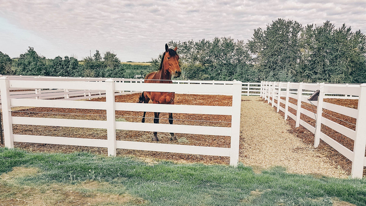 Your Farm – Farm and Barn Supply